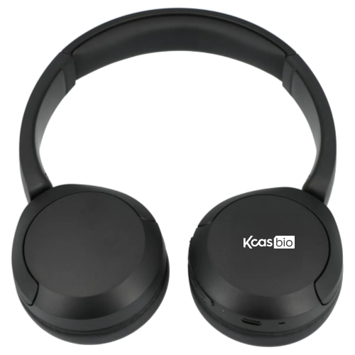 KCAS Bio - Sony WH-CH250 Wireless Headphone with Microphone – KCASBIO